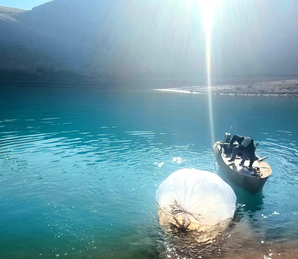 Выпуск более миллиона мальков в Бахри Норак - Pressa.tj